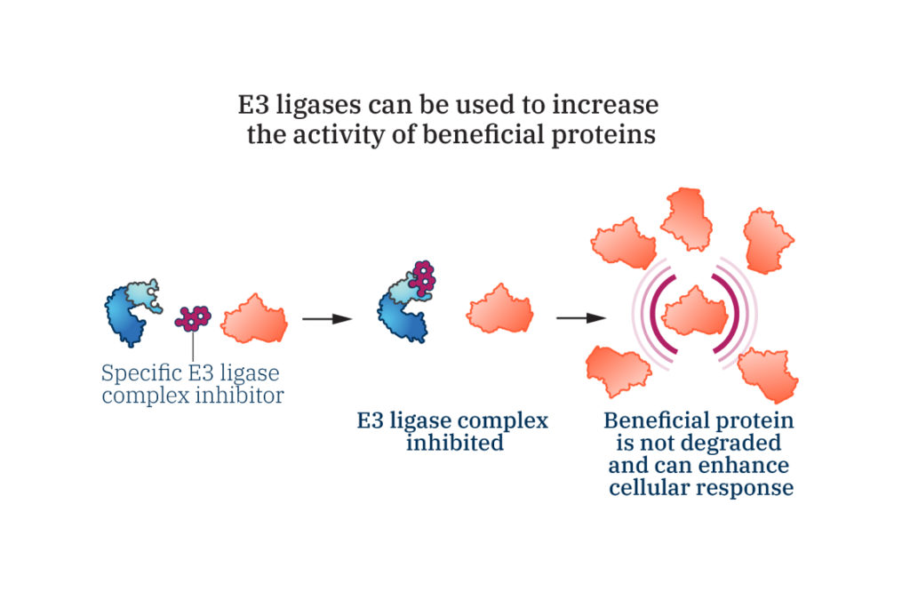 Generian: The Approach